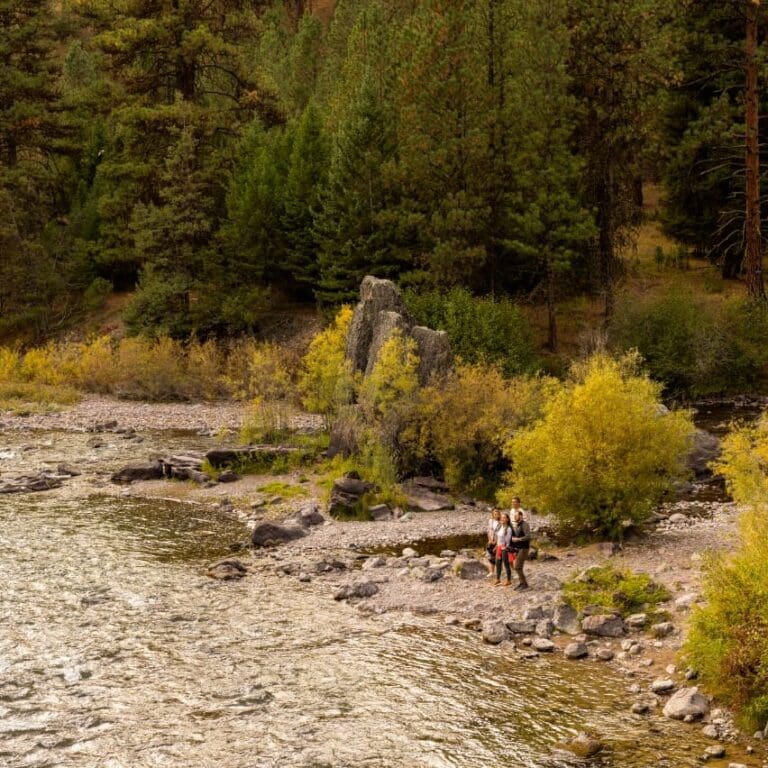 Scenic Electric Bike Tour - Paws Up Montana